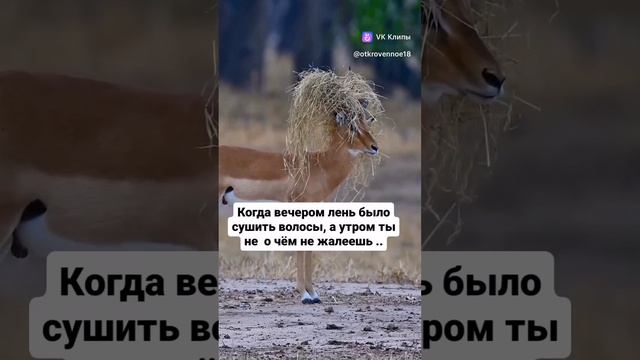 главное - ни о чём не жалеть