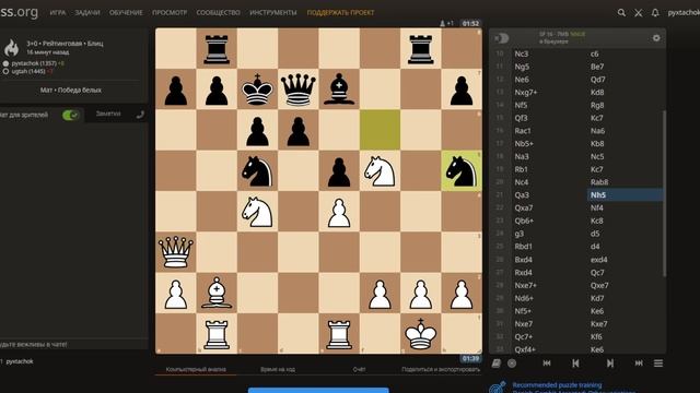 Шахматы для любителей