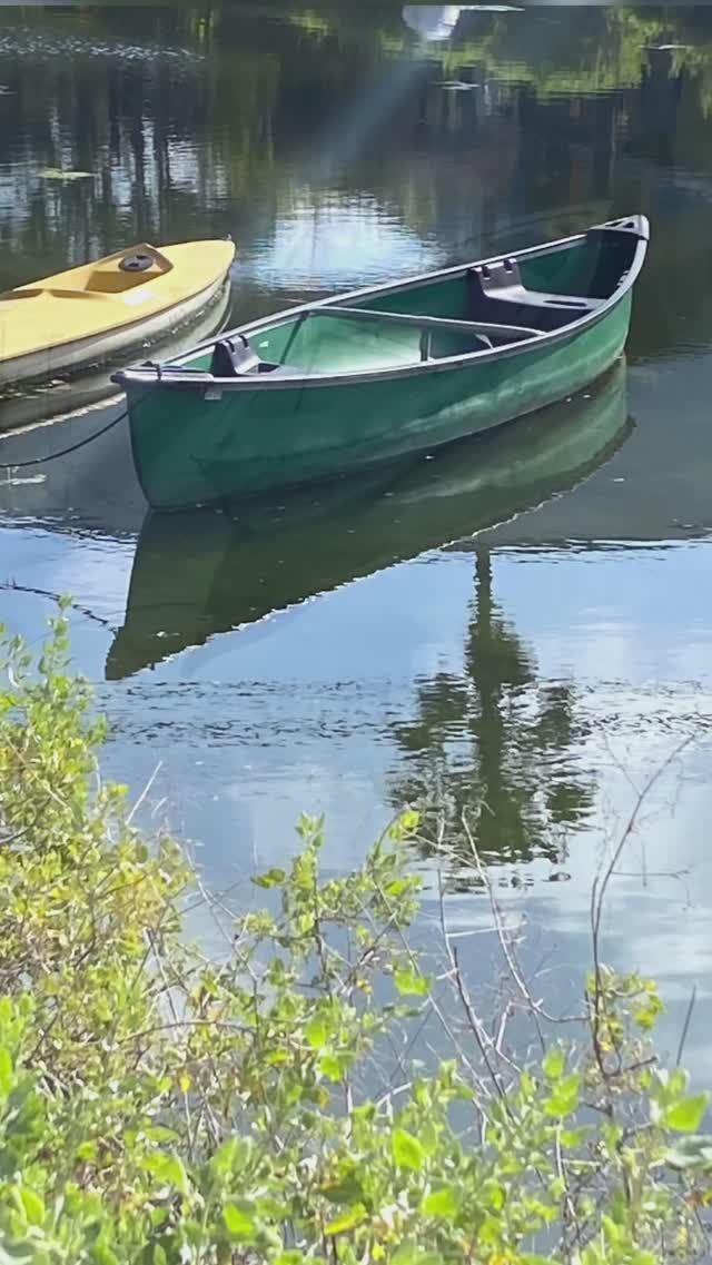 Две лодки. LA, California. Ink Drawing. #графика #скетч #искусство #обучение #татьянаалексеева