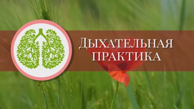 Дыхательная практика (4 вдох - 6 выдох)