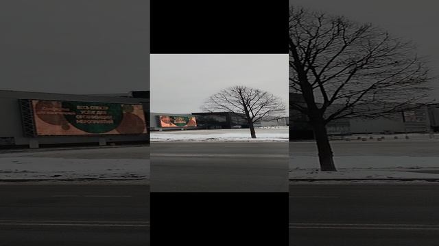 Крокус Сити жив и будет жить