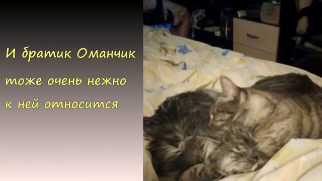 Неповторимая Скифа. (2 года дома)