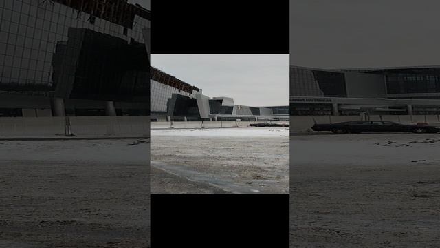 Крокус