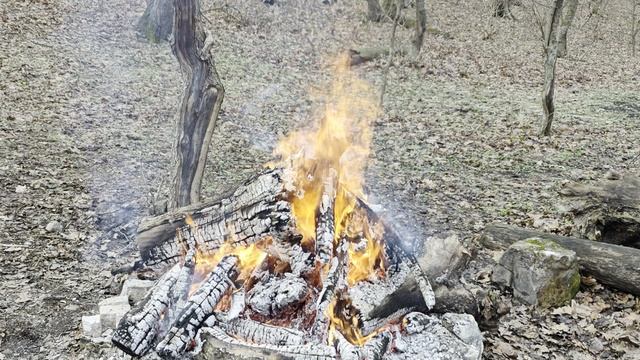 Костёр который дарит энергию!