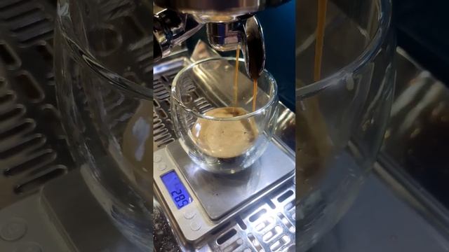 пролив шотов