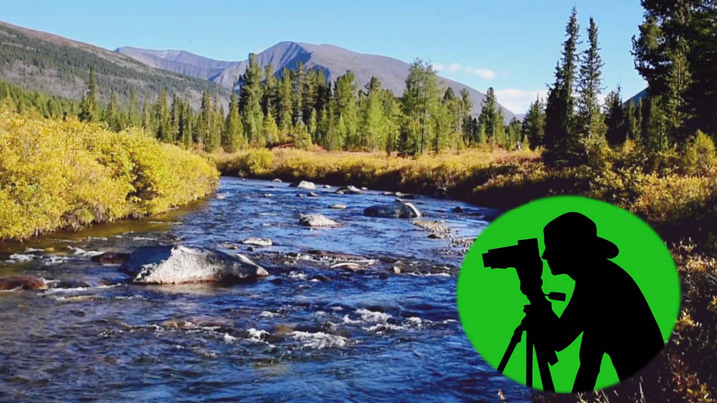 Прекрасное звучание природы для крепкого сна, медитации, отдыха и снятия стресса / Река и пение птиц