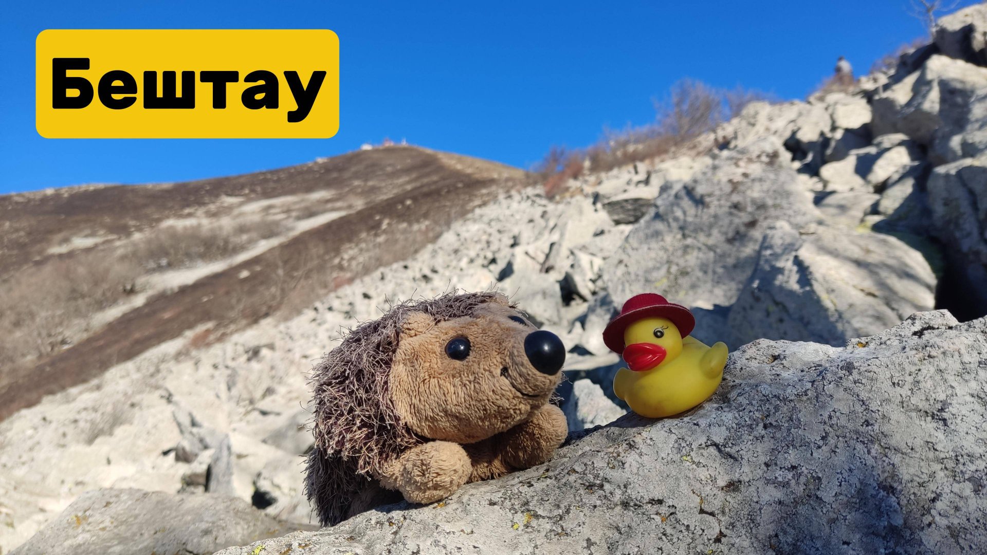 Гора Бештау. Прогулки с Утиными историями, 3 января 2025г