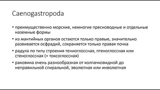 10 урок. Продолжение Моллюски. Зоология беспозвоночных. Подготовка к олимпиаде.