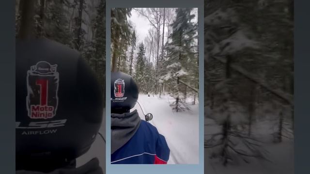 Отзыв. Снегоходы Аренда Прокат снегоходов
