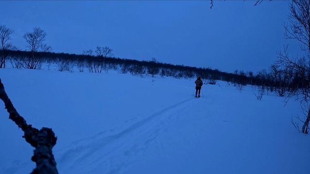 1 ЯНВАРЯ 2025 ГОДА ..ПОХМЕЛЬЕ  С УТРА И ПРОГУЛКА НА ЛЫЖАХ..