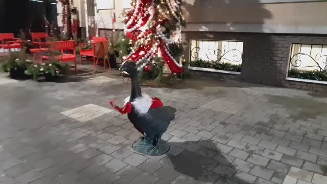 Рождественский арзамасский гусь. По вечернему Арзамасу.