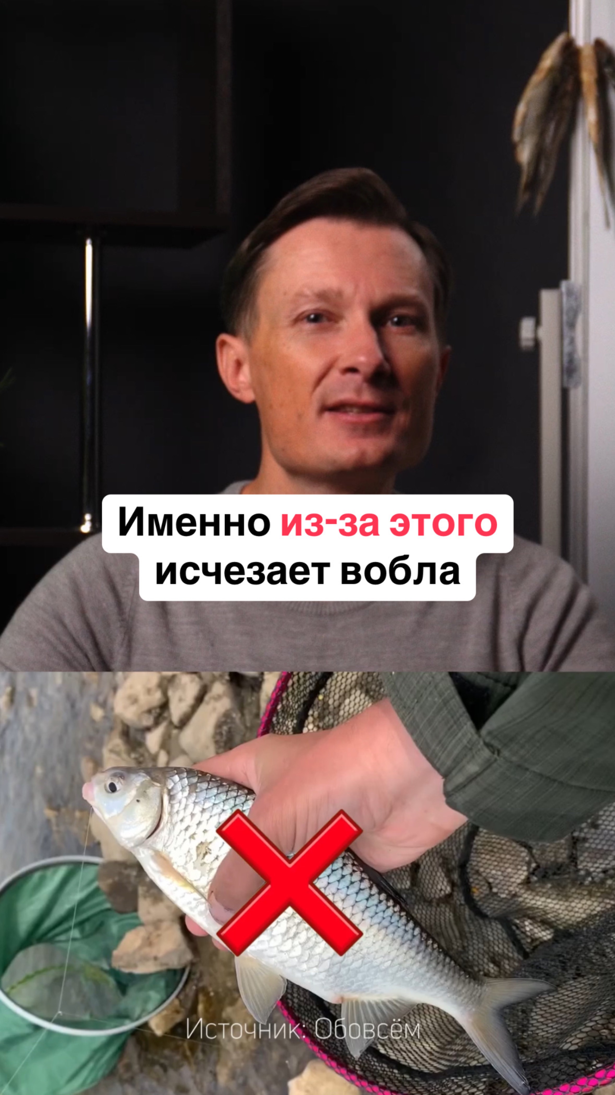 Именно из-за этого исчезает вобла! Маловодные годы