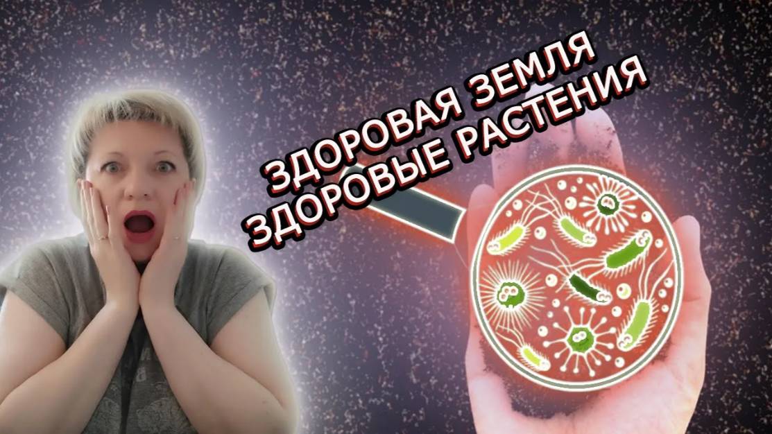 ЗДОРОВАЯ ЗЕМЛЯ, ЗДОРОВЫЕ РАСТЕНИЯ| КАК ОБЕЗЗАРАЗИТЬ ЗЕМЛЮ