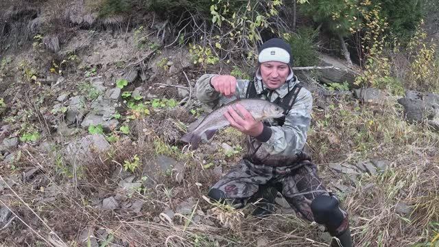 3-я Серия. Рыбалка в притоках реки Томь. Конец сентября 2024.