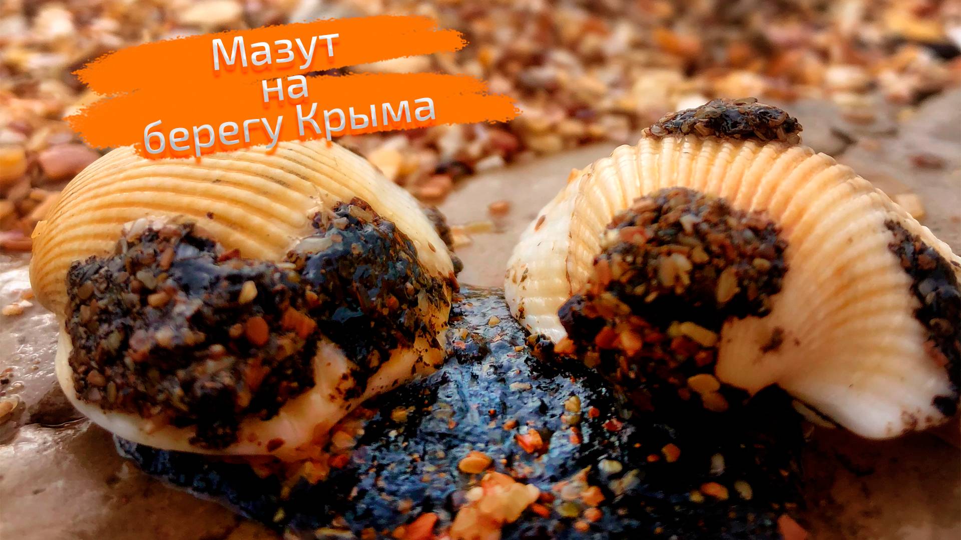 «Чёрное золото» на пляжах. Что мы нашли на пляжах Керченского полуострова