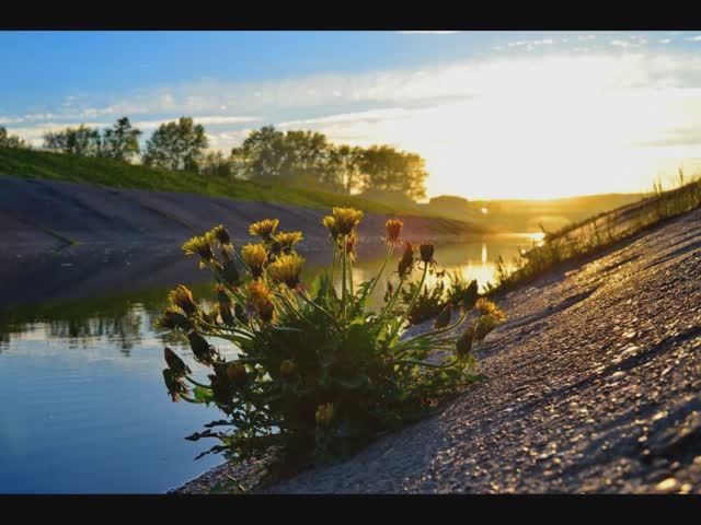 Улетай на крыльях ветра