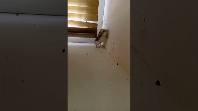 мой друг познаёт окружающий мир 😁💕🦧👀