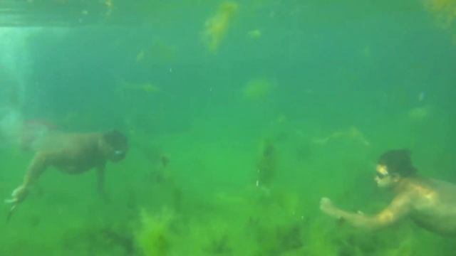 Knife fight under water 1.Armed Combar and tactics