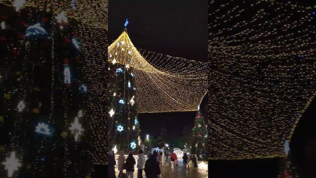 Красота Новогодней ёлки в Анапе.