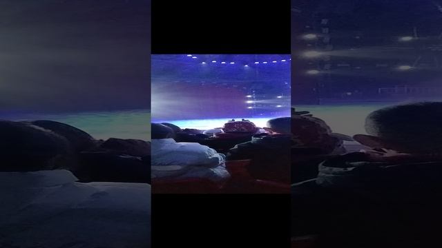 ХАРБИН СЕЗОН 6 СЕРИЯ 2