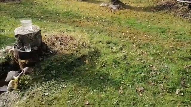 Жидкая вода тормозит рост метастаз!