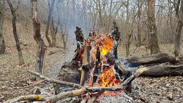 Костёр в лесу!