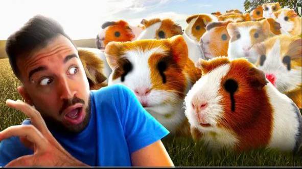 АТАКА 1000 МОРСКИХ СВИНОК