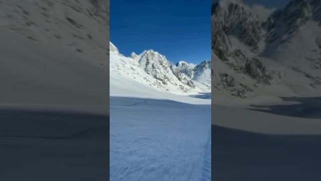 ДЛЯ СОЗДАНИЯ ТАКОЙ КРАСОТЫ ПОТРЕБОВАЛАСЬ ВСЕГО ОДНА КРАСКА