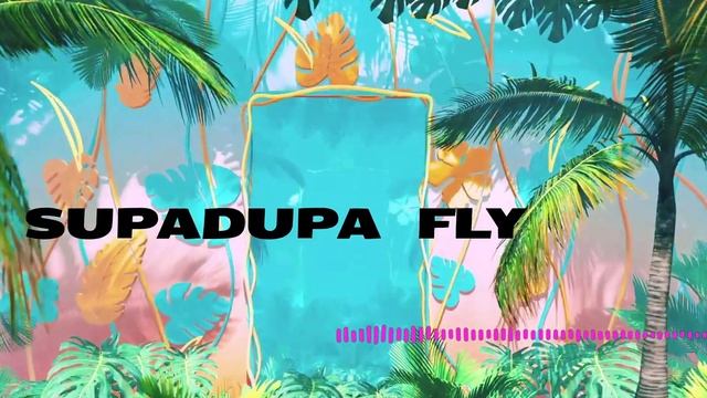 misha Dobry - Supadupa Fly