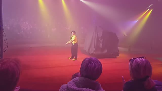 Непревзойденный мастер циркового искусства, добрый клоун Владимир Дерябкин в Дмитрове