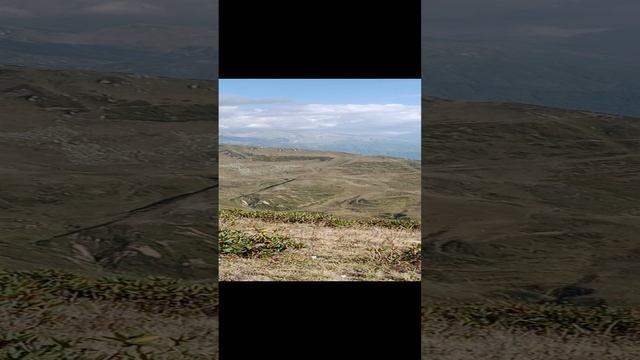 Кавказские горы. Более 2000 м над уровнем моря