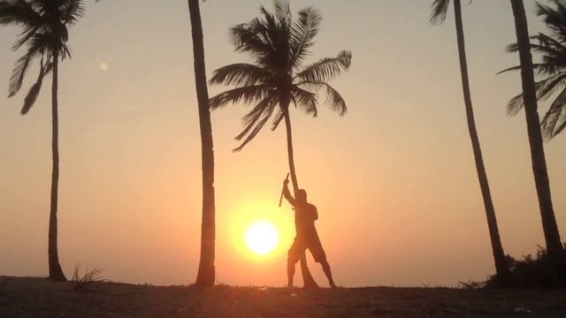 ГОА январь 2013г