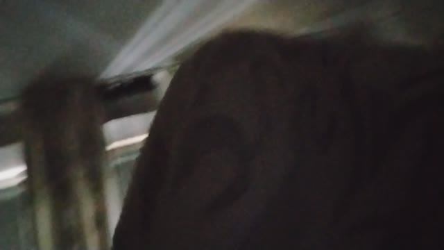 Серёжа и Алёша - 8 Серия [Призыв Приведения] Обсирать Не Вздумай