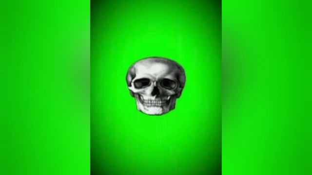 ловите новуй звук