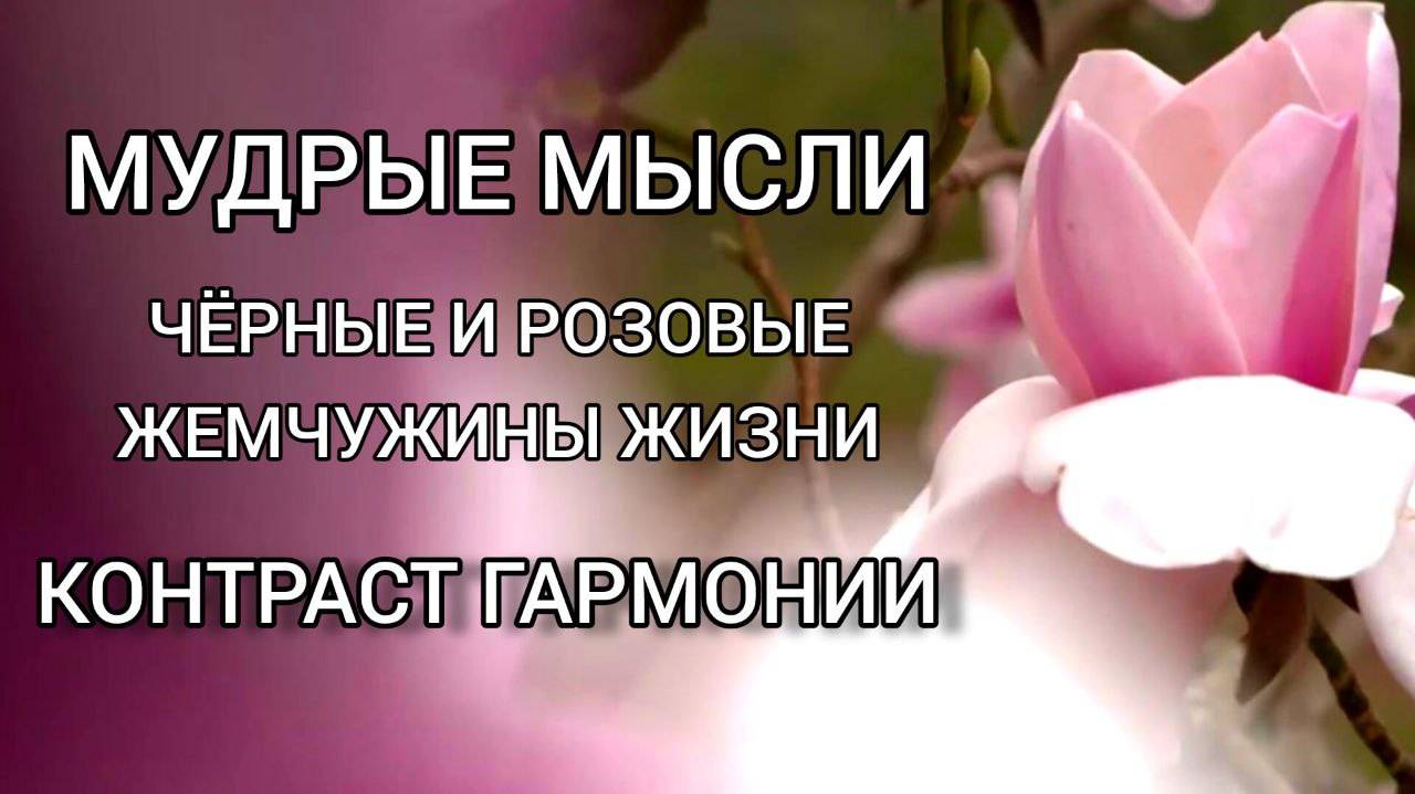 Мудрые мысли. Ожерелье #ЖИЗНИ: чёрные и розовые жемчужины. Читает Виктория Деметрис