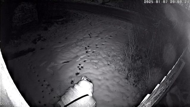 Рождественский привет, нам прямо под калитку от жительницы Сухой Лубны!!!