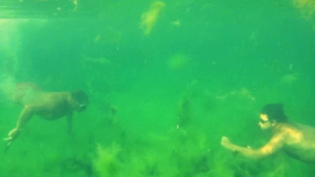 Knife fight under water .АСТ