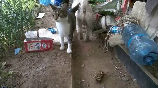 2022 Май Мама я