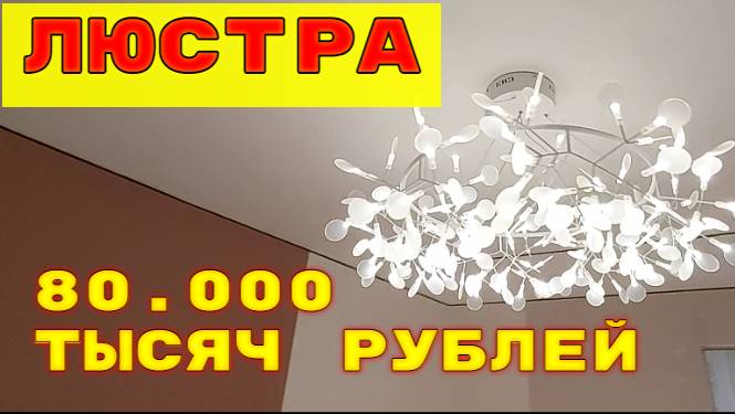 Люстра за  80.000 тысяч рублей