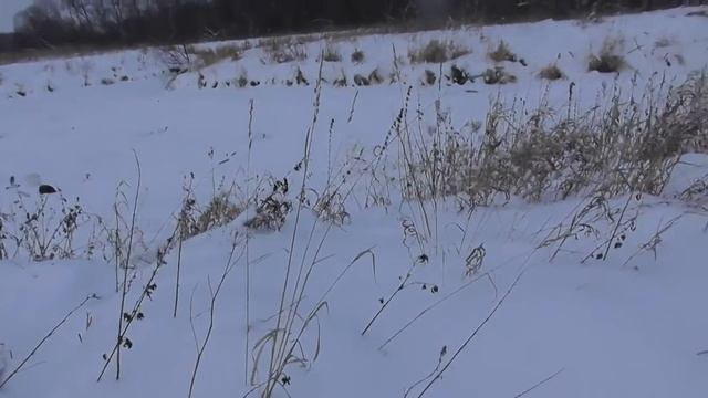 Михалыч охота капканами .Рыбалка на жерлицы.