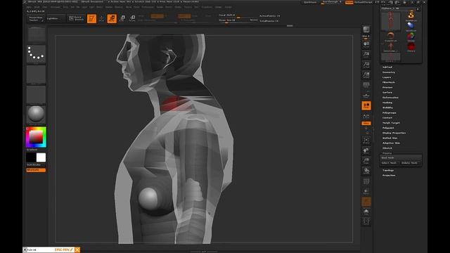 zsphere skeleton polymesh3d