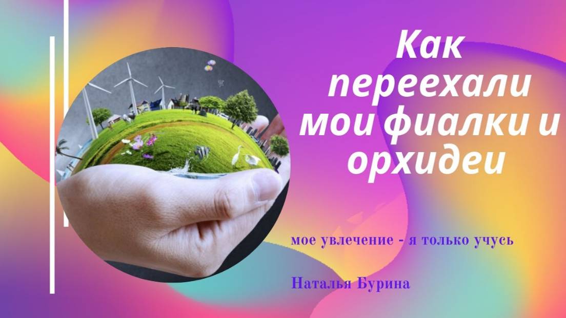 Как я довезла цветы? 36 часов в пути из жары в холод.