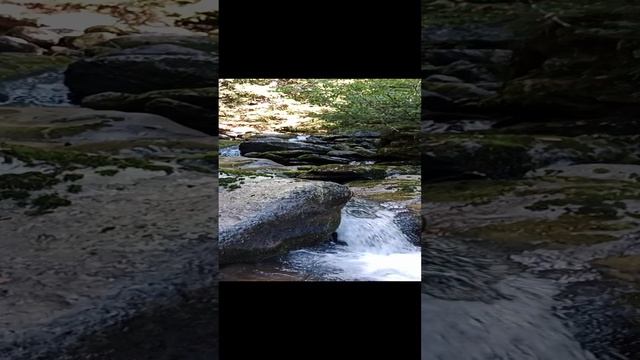 Кавказские горы. Горная речка