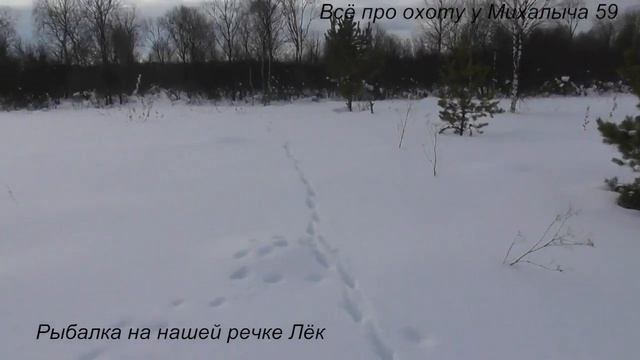Рыбалка на косынки в глухозимье.