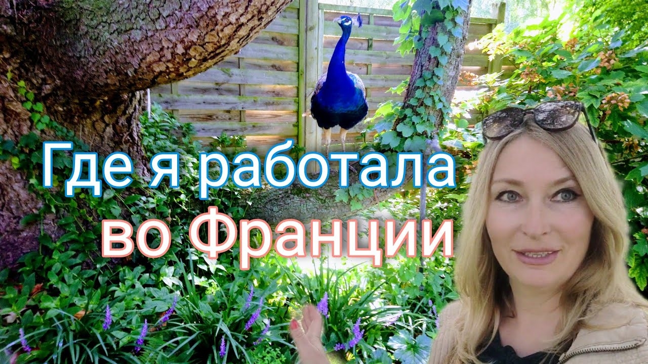 Где я работала в прошлом году во Франции.
