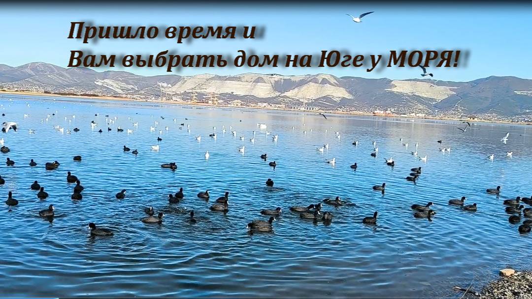 Купить дом на Юге у моря. Новороссийск, п.Глебовское. Свяжитесь со мной, чтобы узнать подробности