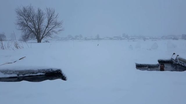 Закаливание, Моржевание ❄️❄️❄️