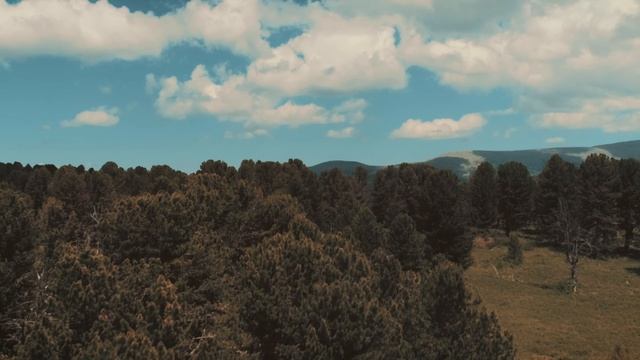 Наталия Иванова – Душа России (дуэт, минус)