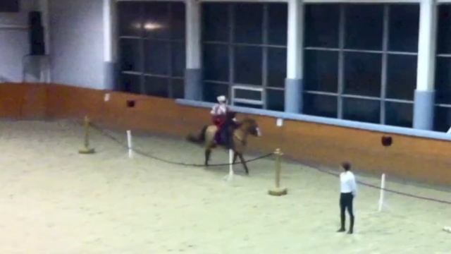 Кремлевская школа верховой езды2