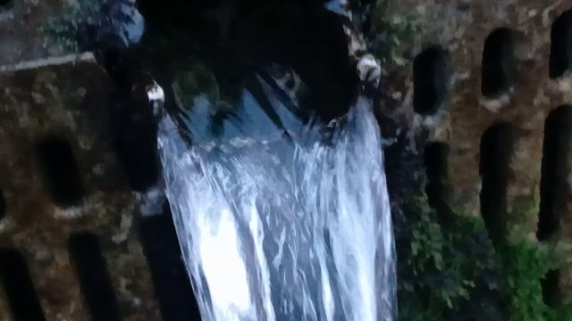 РОДНИК#ЗАКАТ